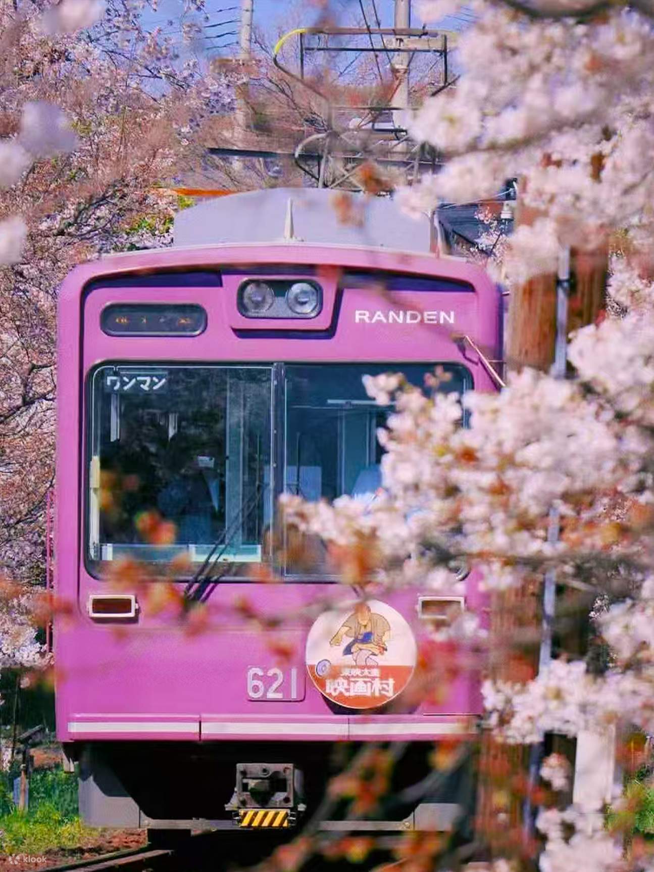 [Kyoto Cherry Blossom Viewing] Nara Park & Arashiyama Train & Fushimi ...
